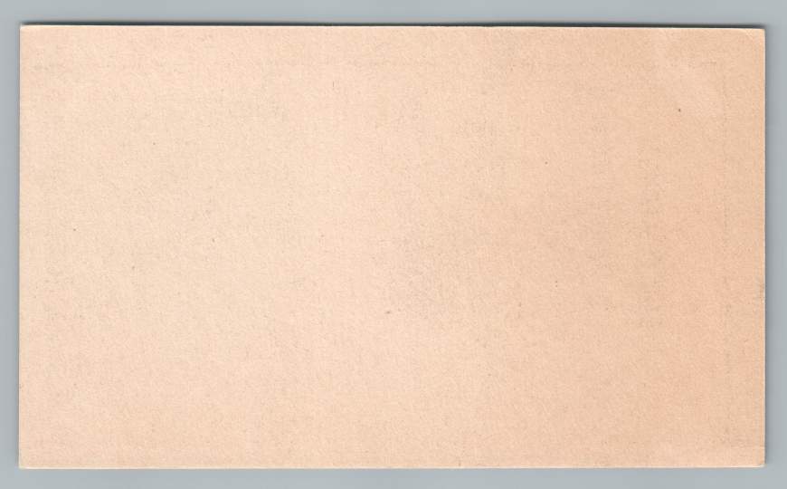 "Fagged Out & Ready to Drop" Scatalogical Bird Humor Postcard-Sized ...