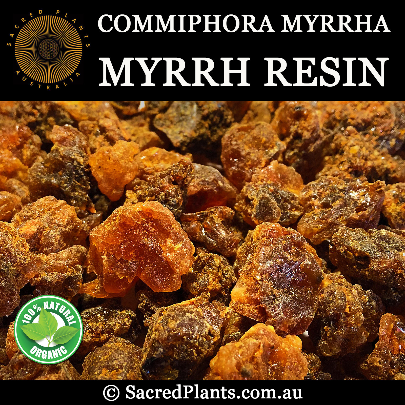 MYRRH Resin 50g | Commiphora Myrrha Incense Shaman Medicinal Sacred ...