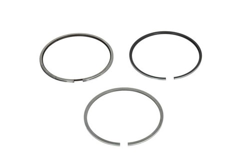 Piston Ring Kit MAHLE 029 54 N2 | eBay