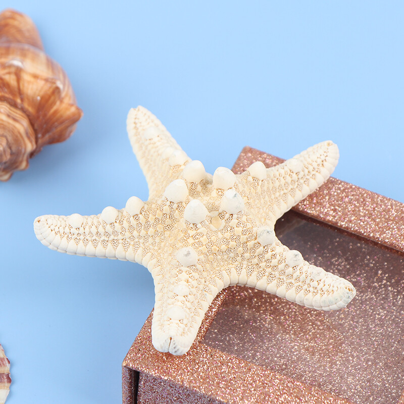 Starfish Crafts Decor Starfish DIY Shell Sea Fish Party Beige Starfish ...
