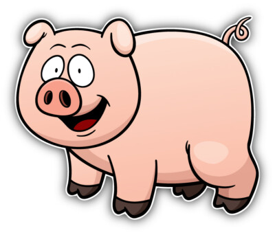 Funny Pig Car Bumper Sticker Decal - "SIZES'' | eBay