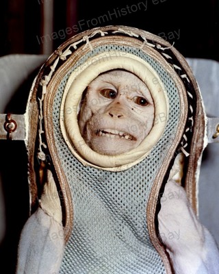 8x10 Print NASA Project Mercury Joe Test Sam Launched Rhesus Monkey ...