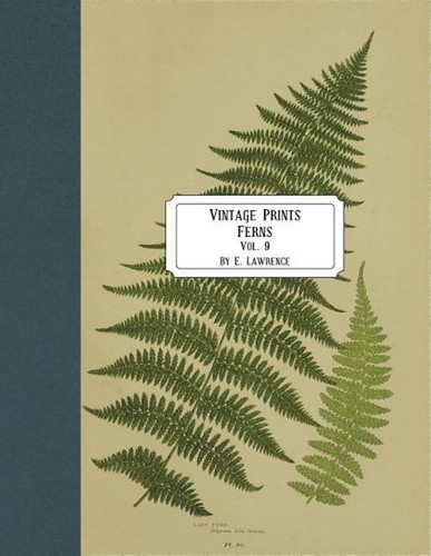 Vintage Prints: Ferns: Vol. 9 by E. Lawrence (English) Paperback Book ...
