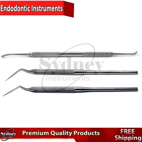 Hygienist Teeth Inspection Explorer Periodontal Dental Endodontic ...
