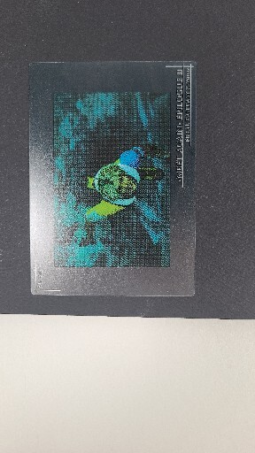 Final Fantasy Art Museum Trading Card Premium Edition 10-2 X-2 P-049 ...