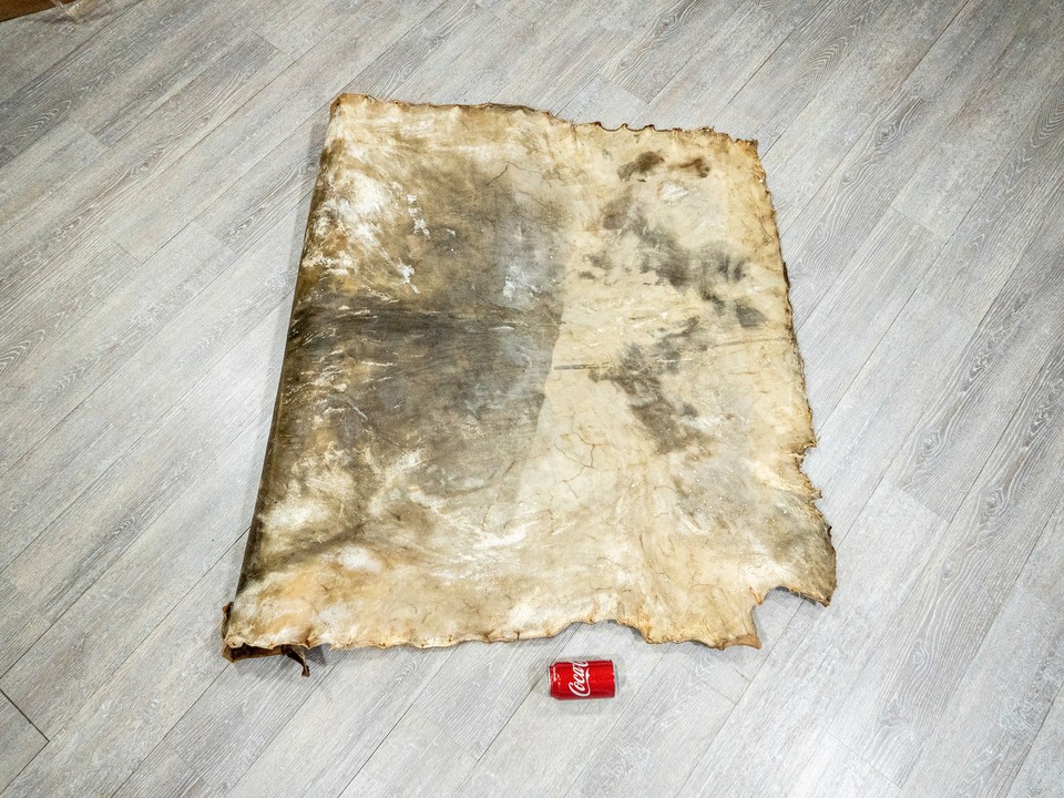 Hair-on Bovine Calf Rawhide Large Piece for Drum Making (55-25-00H ...