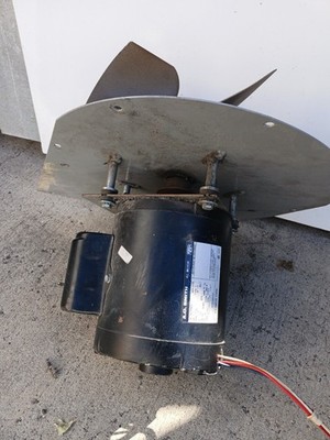 Dexter Motor | eBay