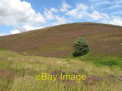 Photo 6x4 Scroof Hill Nether Shiels/NT4146 c2007 | eBay UK