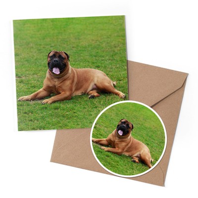 1 x Greeting Card & 10cm Sticker Set - Bullmastiff Large Dog Breed ...