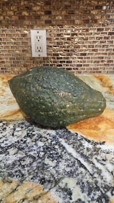 Green Chicago Warted Hubbard Squash Pumpkin Seeds (10) / Organic / RARE ...