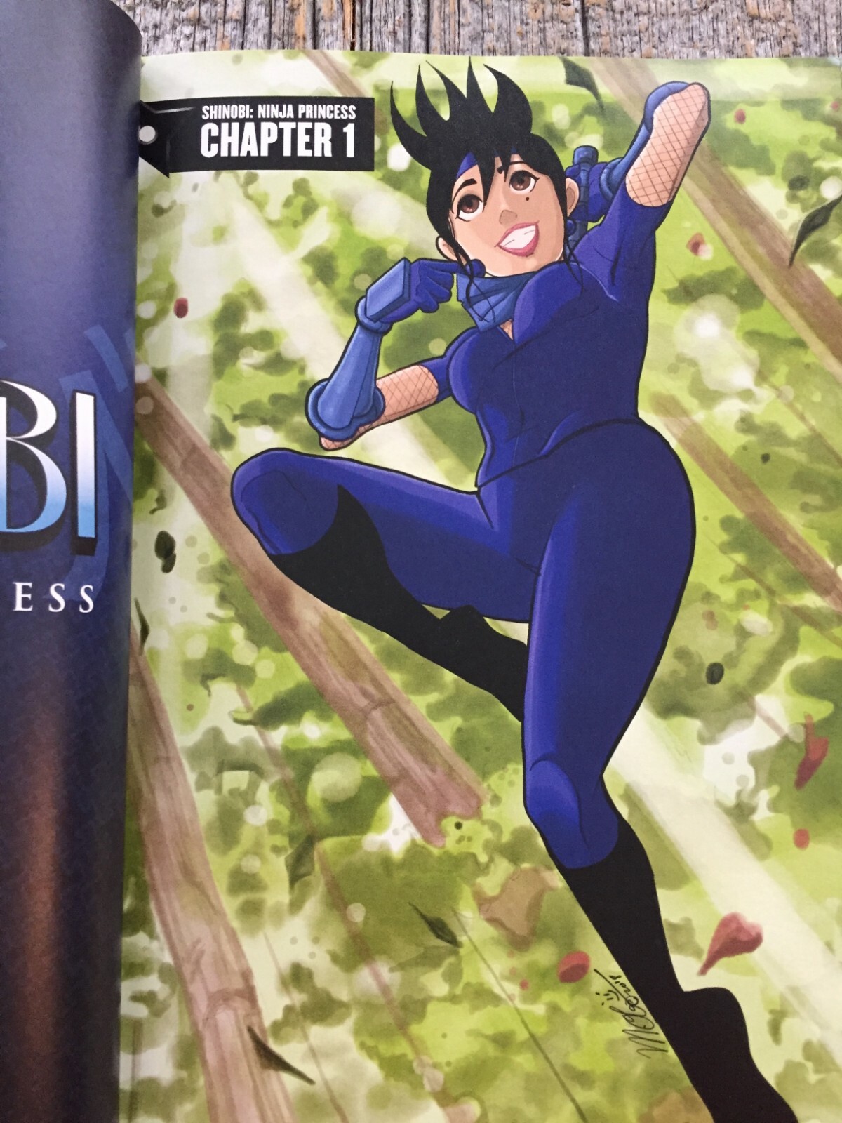 SIGNED-SHINOBI: Ninja Princess Hardcover Collection by Martheus and ...