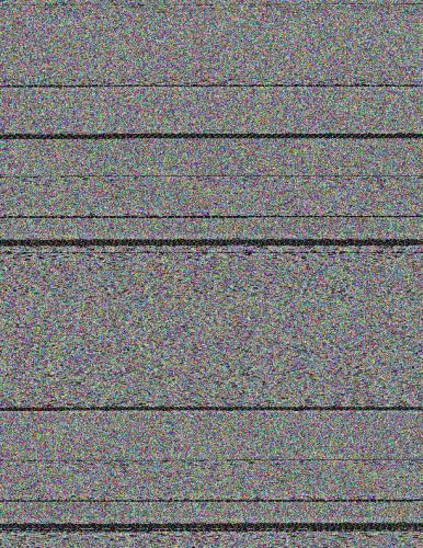 Student′s Guide to the Presidency by Bruce J. Schulman (2009, Hardcover ...