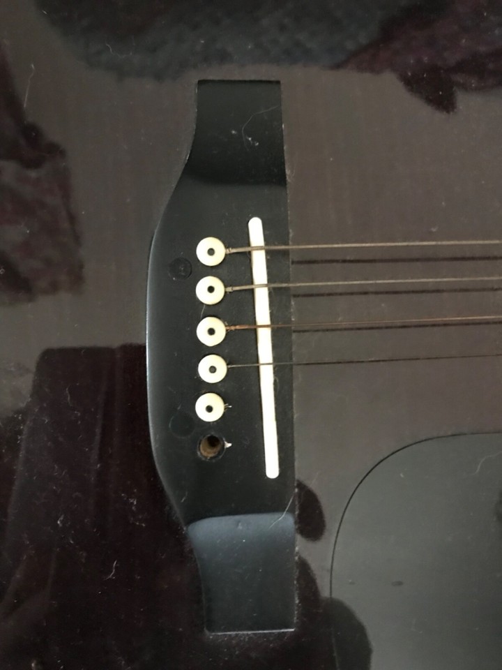 Brunswick Rodeo Series Acoustic Guitar, model BMT-105-5F, dark brown ...