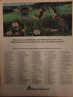 1965 Weyerhaeuser Tree Farm Sign Deer Running Vintage Wildlife ad | eBay