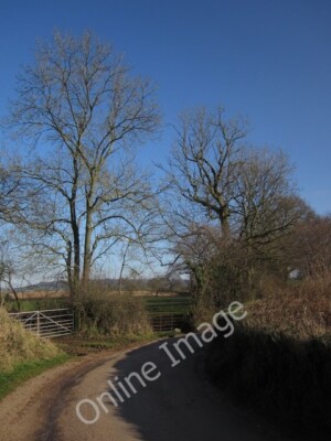 Photo 6x4 Lane east of Sandfield Farm Blackborough/ST0909 The northern ...
