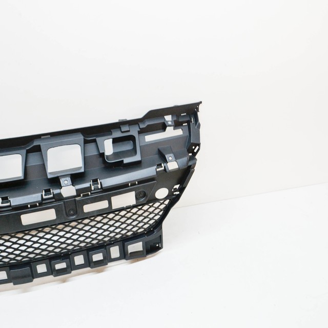 Mercedes-Benz Gl-class X164 Front Lower Grill A1648852465 Genuine for ...