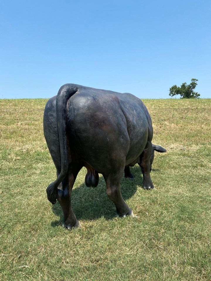 Life Size Bull Statue - Black Angus Bull Life Size Statue (Grazing) | eBay