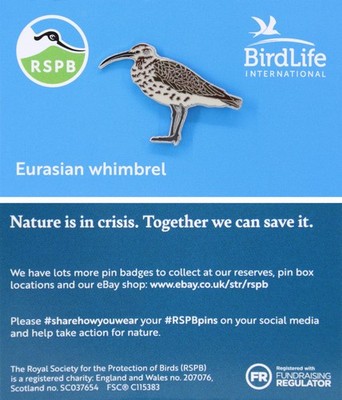 RSPB Pin Badge Bird Life International NIIC Eurasian Whimbrel P03212 ...
