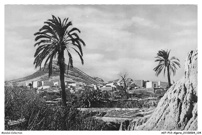 ASTP12-0842-ALGERIA - BOU-SAADA - El Hamel - Città Santa | eBay