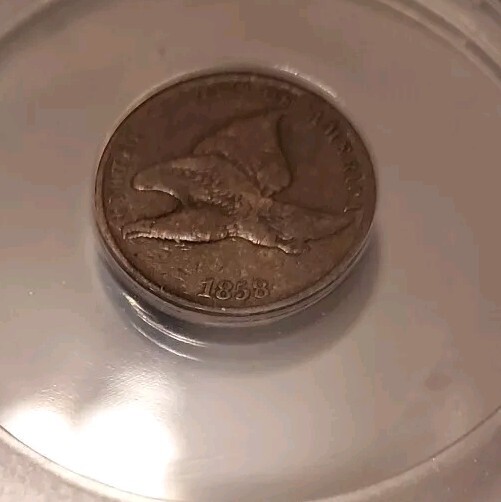 1858 Small Letters FLYING Eagle CENT 1c Anacs F12 FINE | eBay