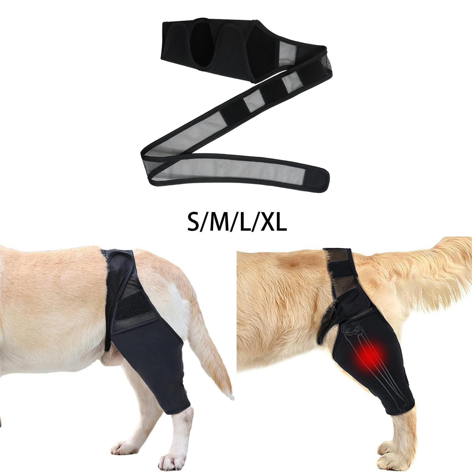 Dog Rear Leg Hock Protective Sleeve Protects Wounds Joint Wrap ...