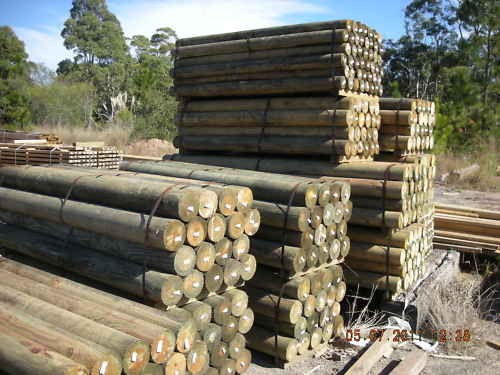 log treated pine koppers 90x2.4 and more | eBay Australia