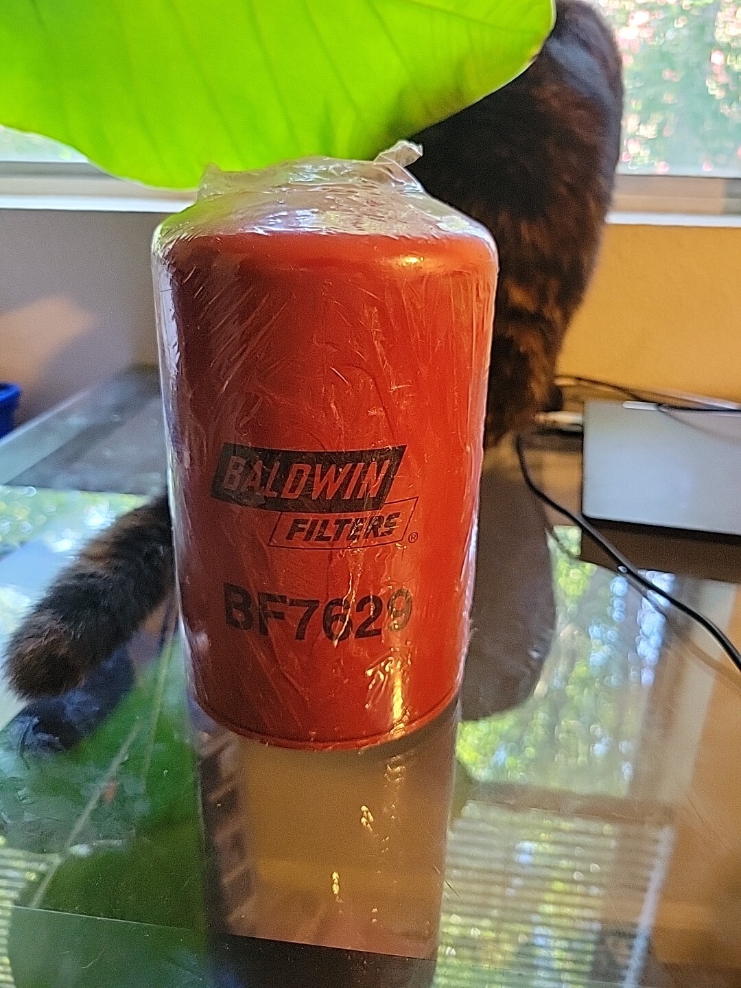 Fuel Filter-Eng Code: DT466, International Baldwin Filters BF7629 for ...