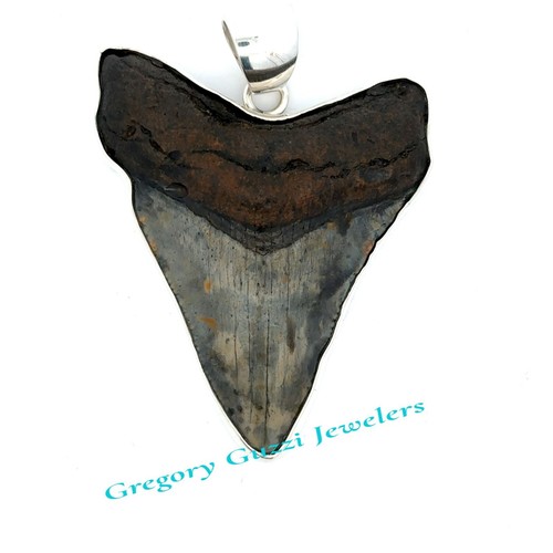 Sterling Silver Fossil Shark Tooth Pendant (Charles Albert)-1 3/4 x 2.5 ...