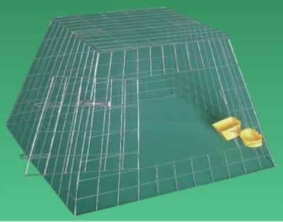 Pyramid Chicken Cage | eBay