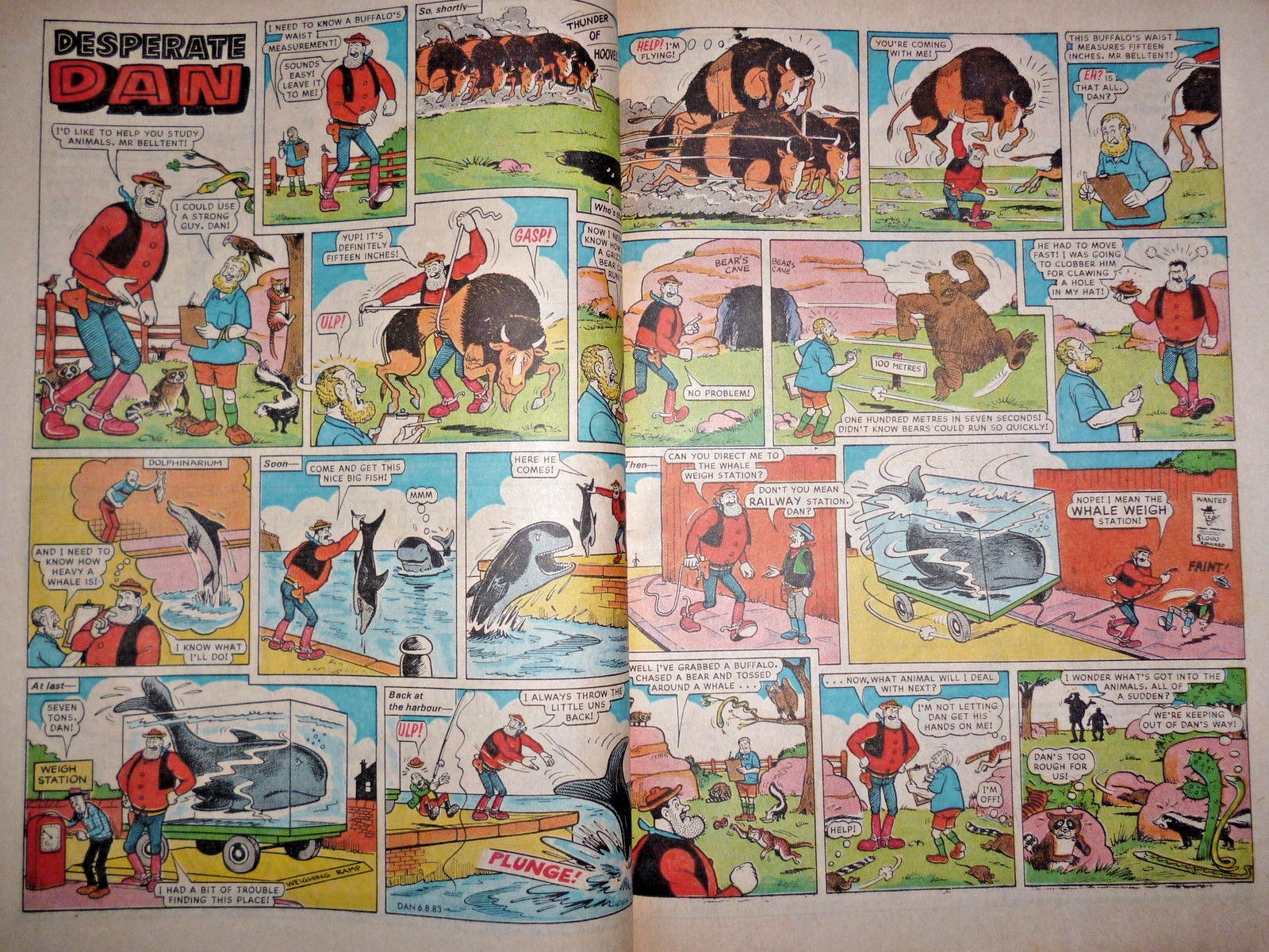 the dandy from aug 6th the smasher, harry and his hippo, brassneck, the ...