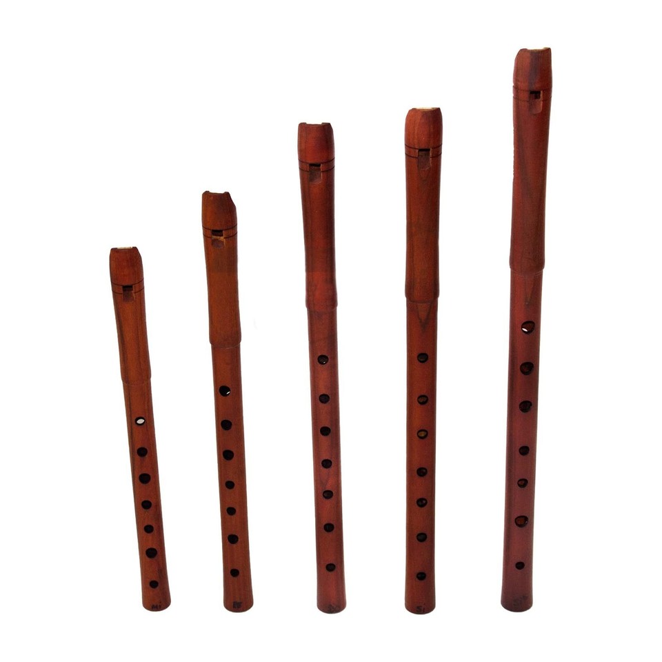 Plum Wood 7-Hole Flute aka Tutek Shivi aka Dilli Kaval D | eBay