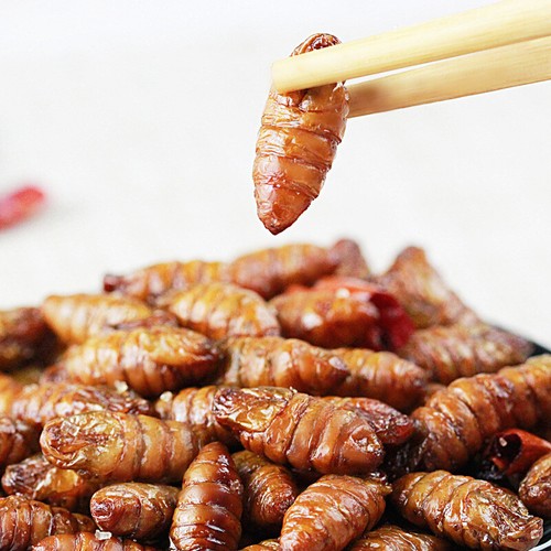80g*2 bags Fried Silkworm Pupa Instant Crispy Silkworm Pupa Snack ...