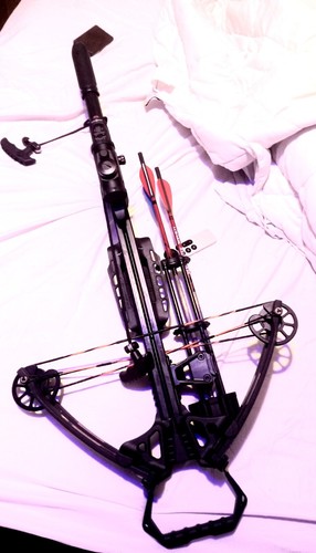 Barnett Crossbows XP 370 Crossbow 42609782062| eBay