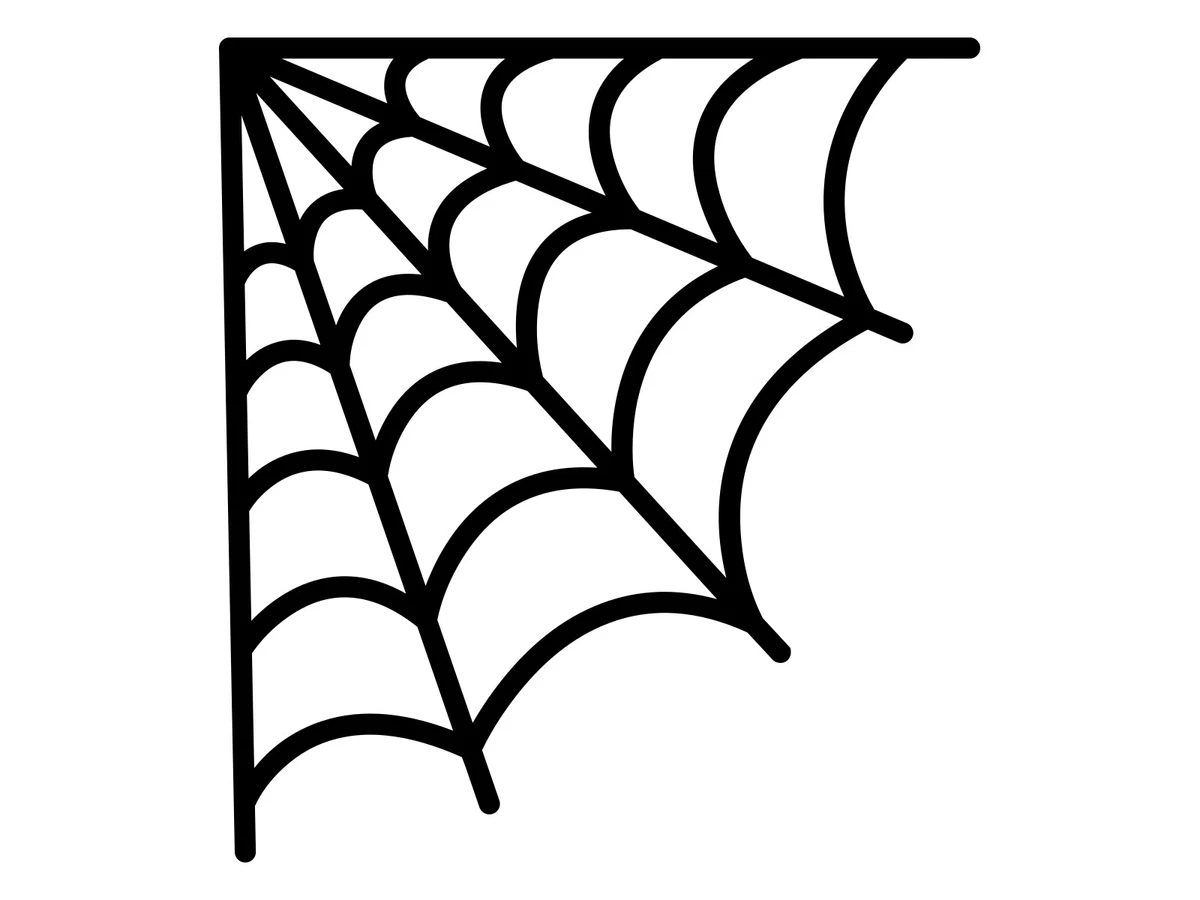 Corner Spider Web Drawing