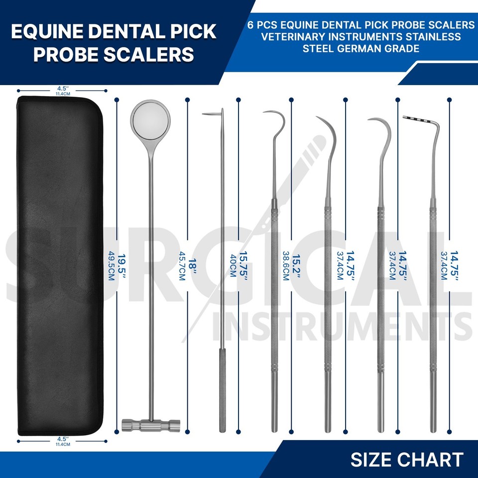 6 Pcs Equine Dental Pick Probe Scalers Veterinary Instruments Kit Set ...