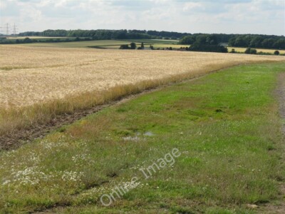Photo 6x4 Looking west from the track to Saltoun Forest West Saltoun ...