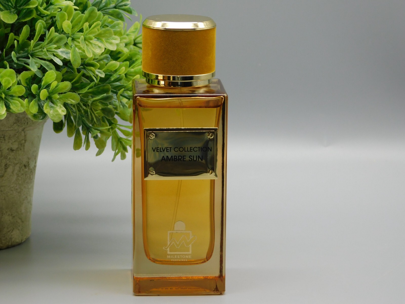 Velvet Collection Amber Sun Milestone Eau de Parfum Spray 3.4 oz New ...