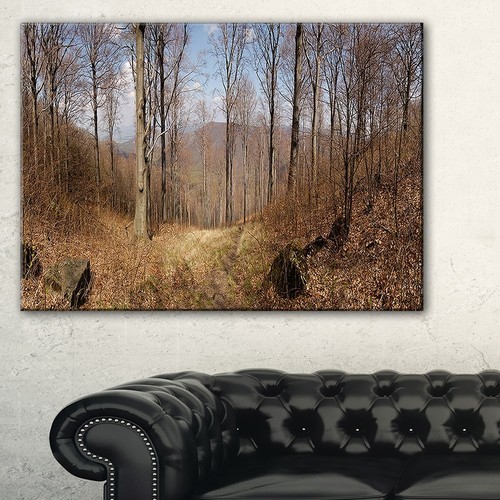Forest Scenery with Bare Trees - Modern Forest Canvas Wall Mini | eBay