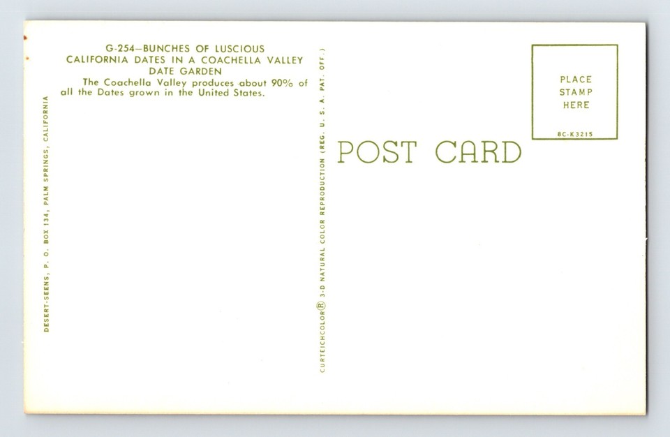 Postcard California CA Coachella Valley Date Tree 1960s Unposted Chrome ...