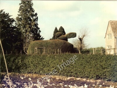 Photo 6x4 Topiary in Sapperton Daneway c1985 | eBay UK