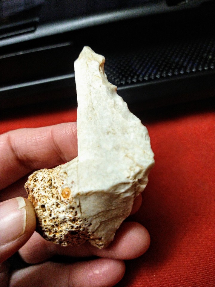 Fossil Rock Indian Artifact Knife Blade Scraper Tool Arrowheads Native ...