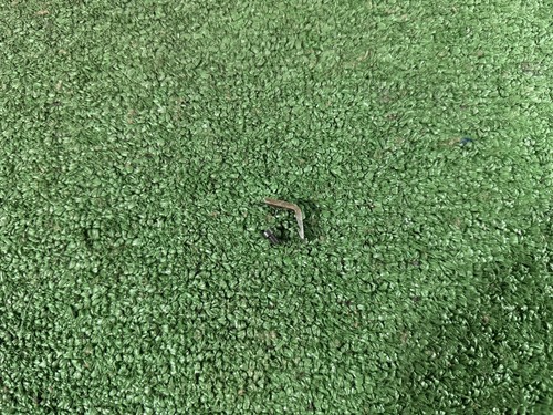 Marlin Model 80DL .22 LR Magazine Latch with Screw | eBay