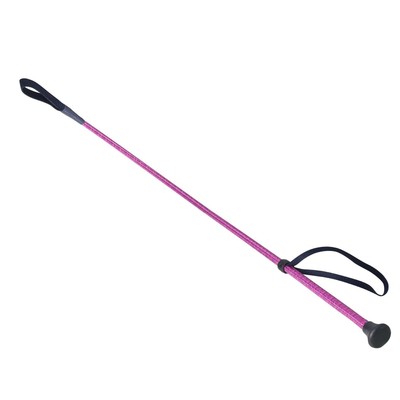 MacTack Childrens Sparkle Riding Whip (TL349) | eBay Australia