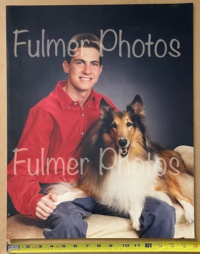 LASSIE Lookalike 16x20” COLLIE DOG & Man Portrait VTG 1970s Color Photo ...