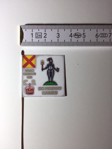 845) 1x 25mm 28mm ECW Banner Flag Royalist Montrose‘s Army Irish ...