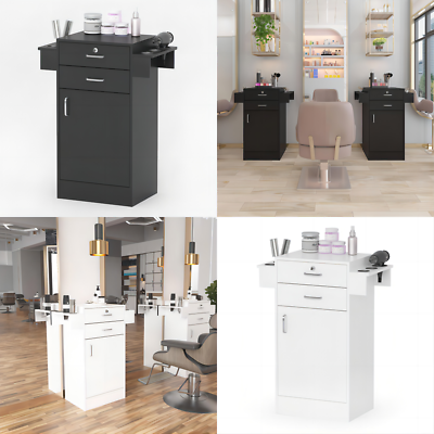 Cabinet Hair Hair Tool Storage Cabinet The Idea Room