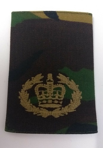 Genuine British Army Issue Old Pattern DPM Camo Rank RQMS QMSI Slide ...