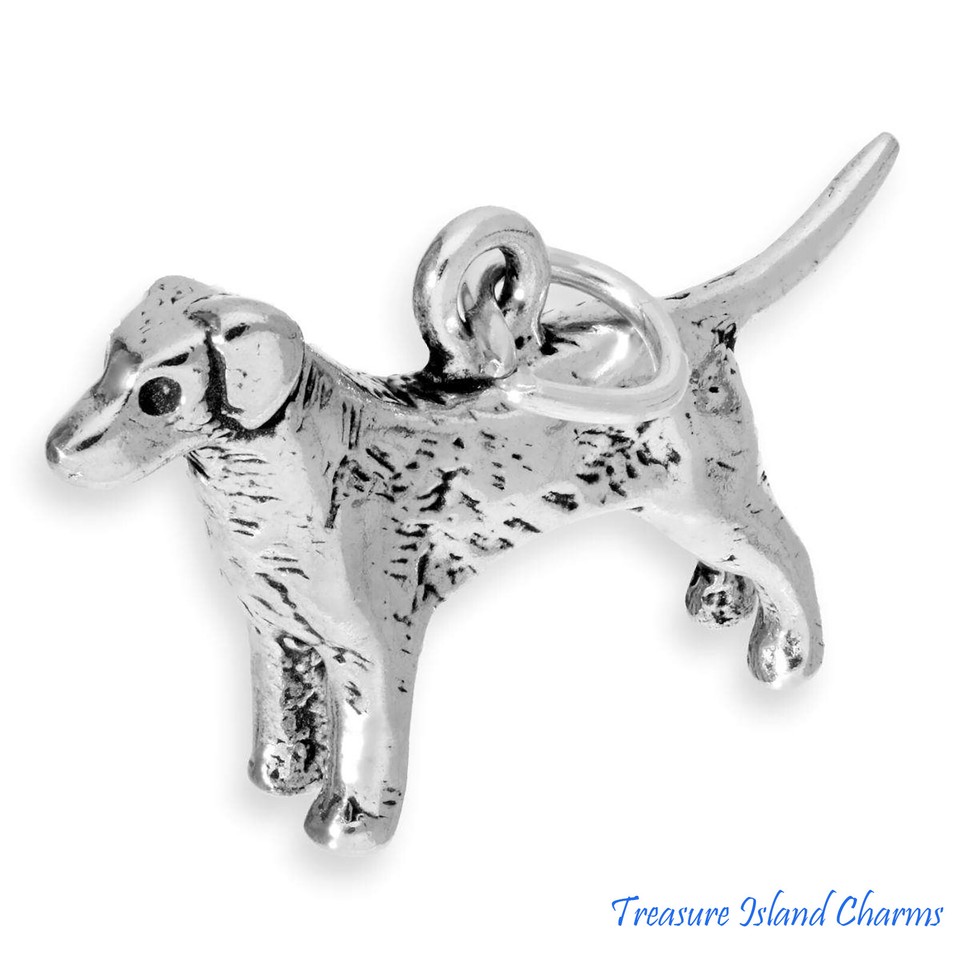 Labrador Retriever Lab Dog Breed 3D 925 Solid Sterling Silver Charm ...