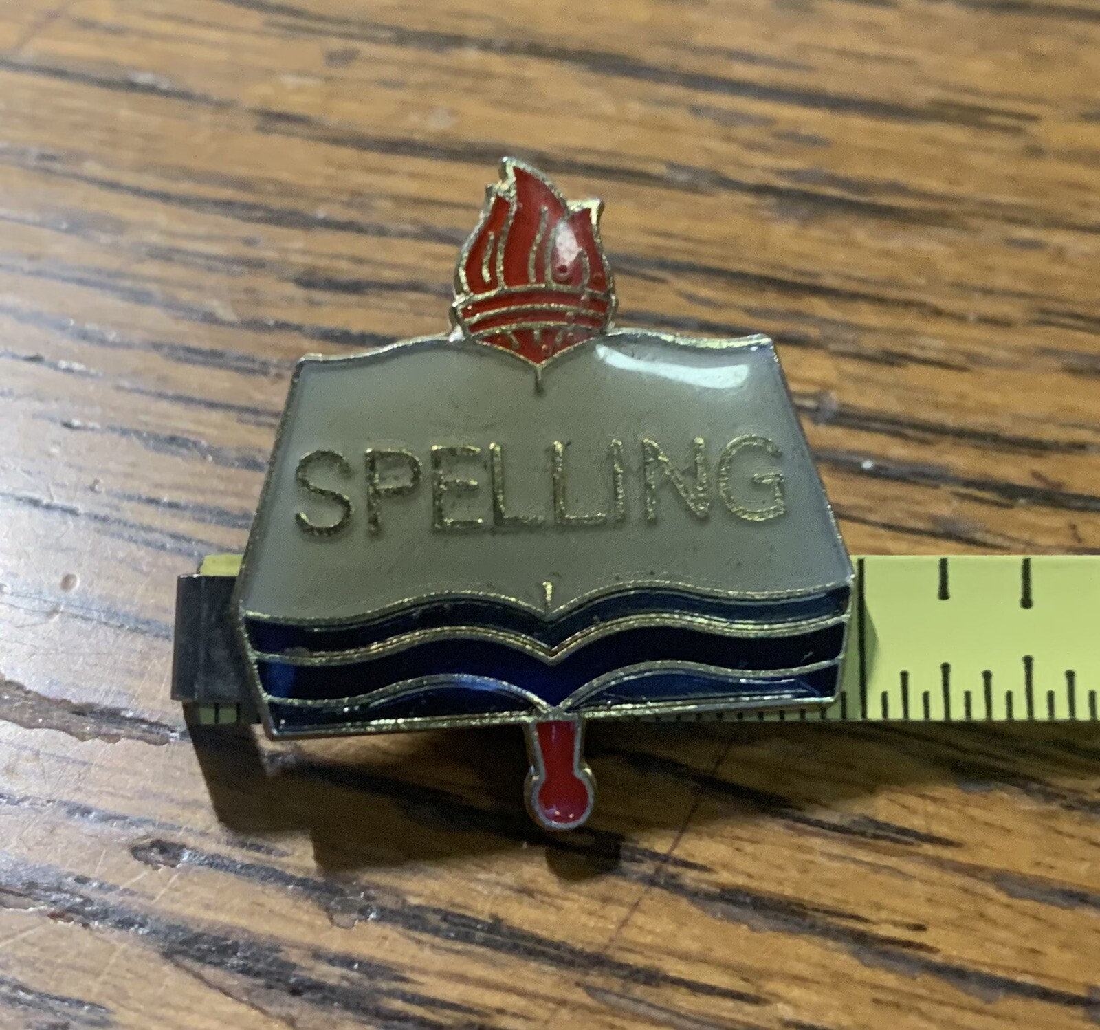 Scholastic Achievement Pins - Reading & Spelling | eBay