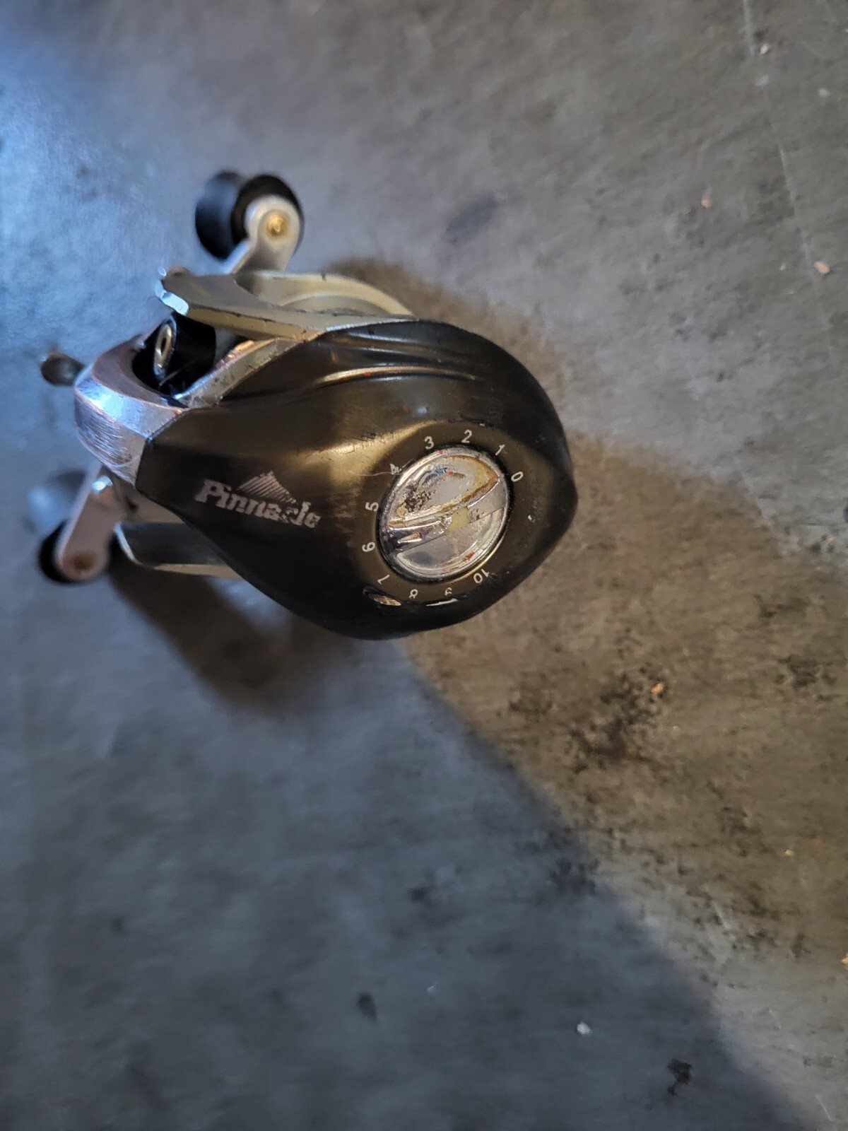 Pinnacle Inertia Fitness Fishing Reel | eBay